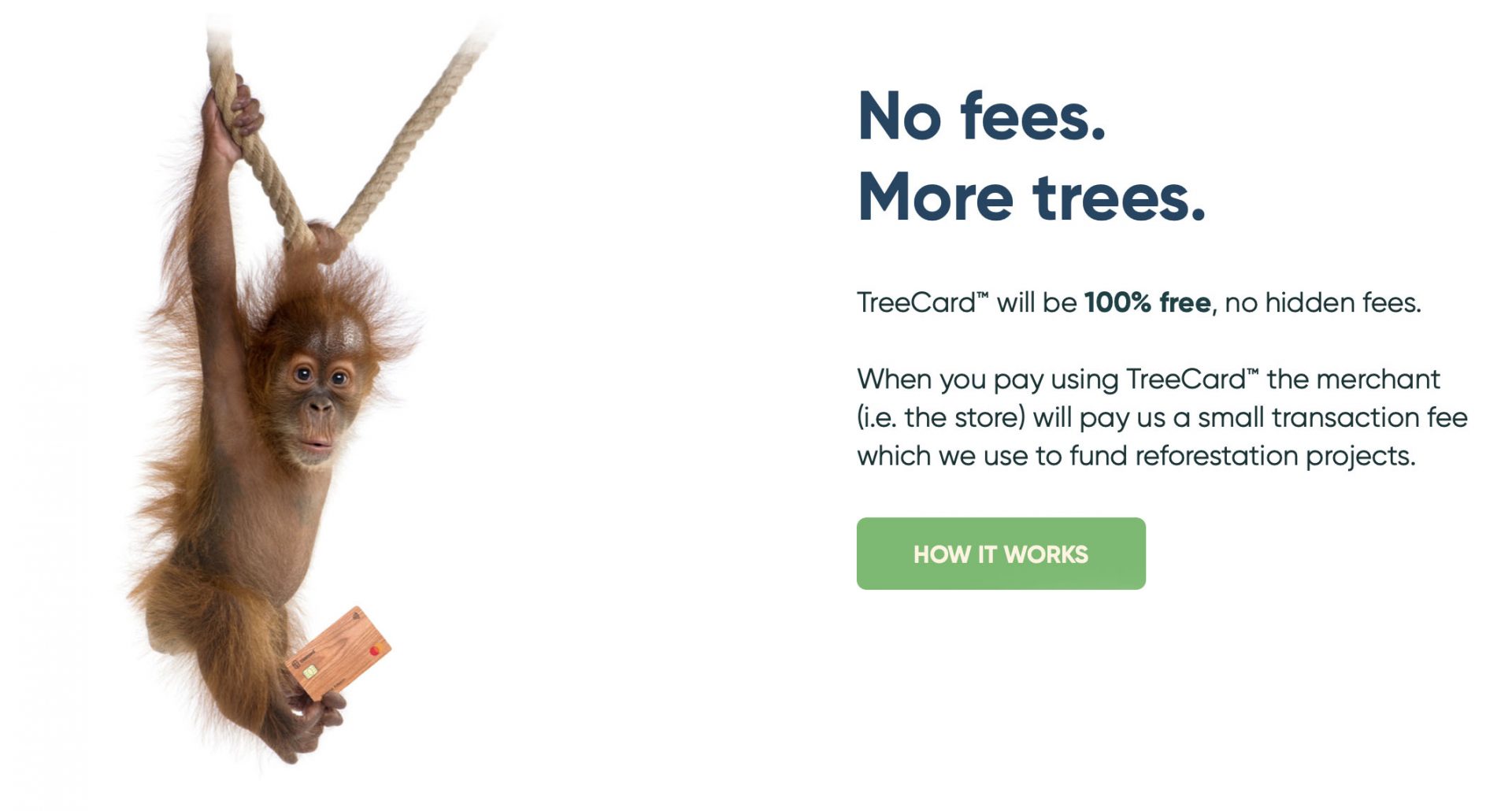 「樹卡」免 SSN 超簡單辦美國卡，輕鬆享受 PS Store、iTunes 的骨折優惠 | Anson Chen 安森